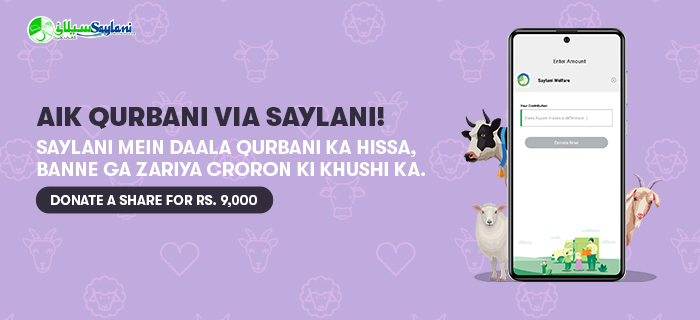 Enjoy rewards and win prizes! | easypaisa Promotions